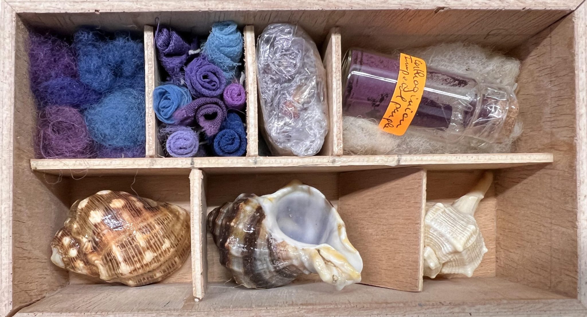 Dyeing with Ancient Shell Purple Dye - Refashioning the Renaissance