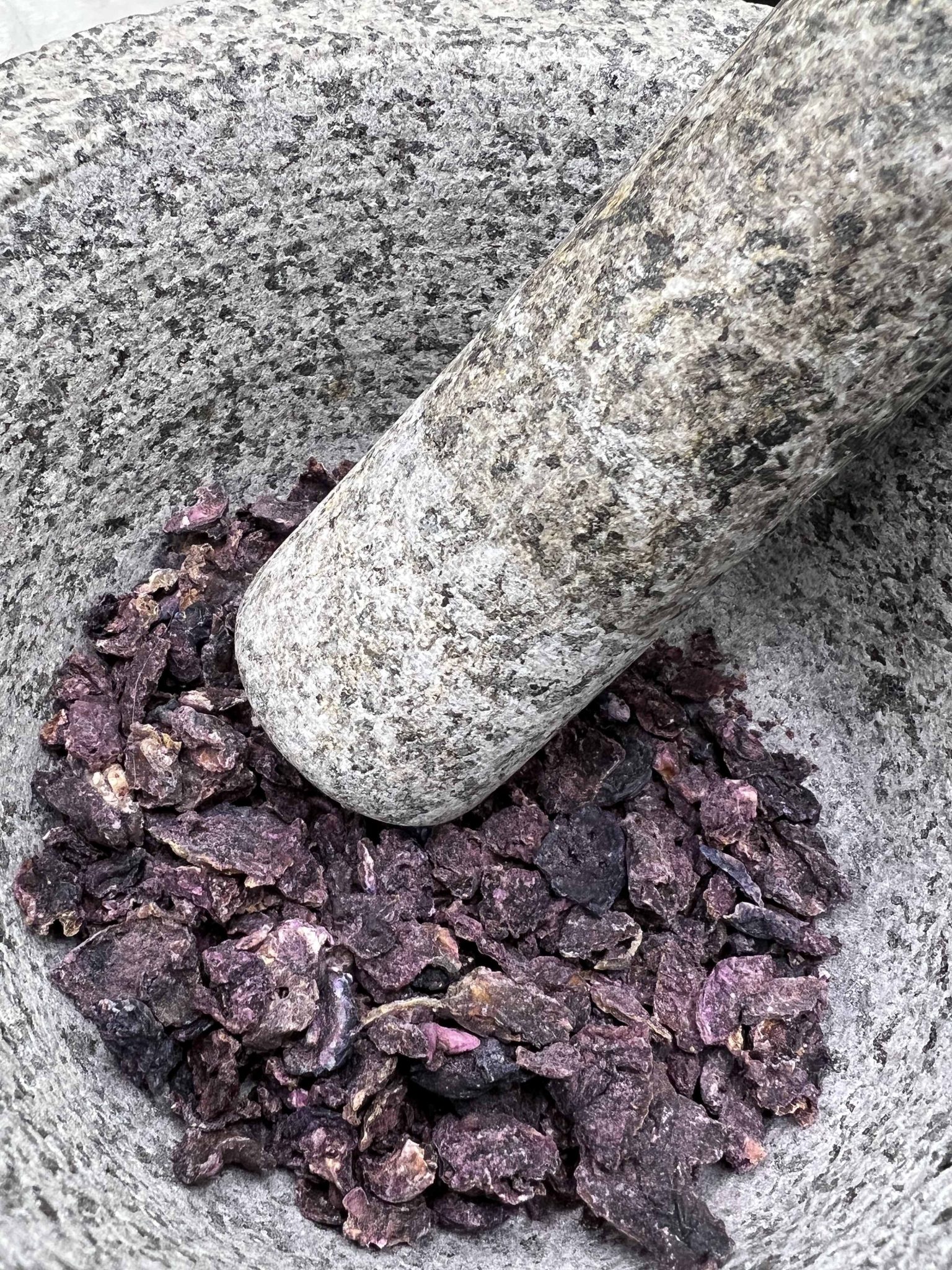 Dyeing with Ancient Shell Purple Dye - Refashioning the Renaissance