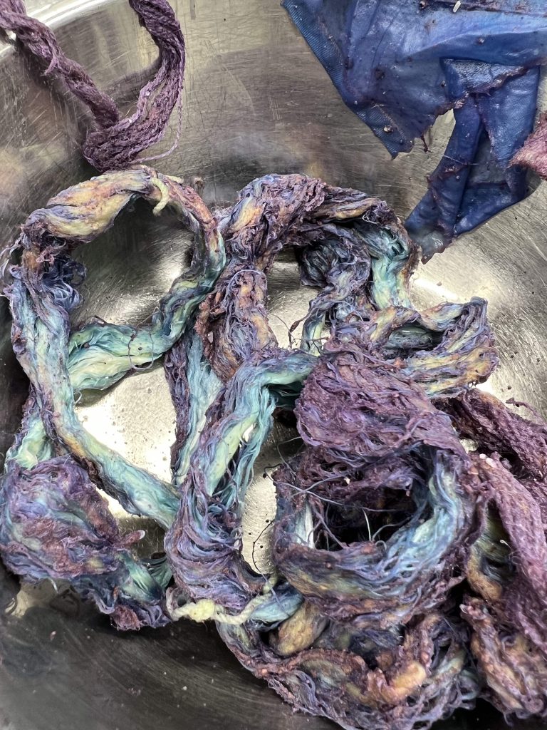 Dyeing with Ancient Shell Purple Dye - Refashioning the Renaissance