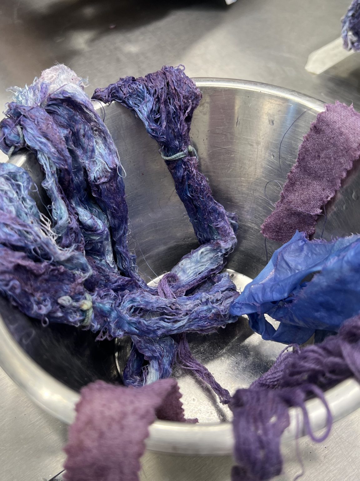 Dyeing with Ancient Shell Purple Dye - Refashioning the Renaissance