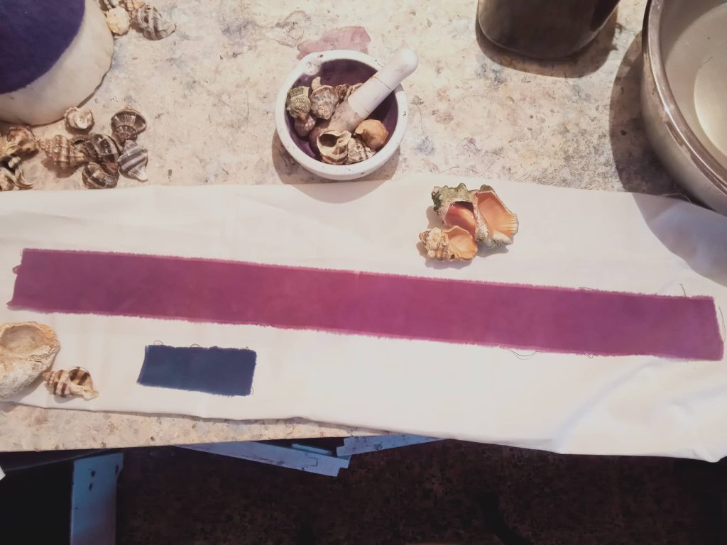 Dyeing with Ancient Shell Purple Dye - Refashioning the Renaissance